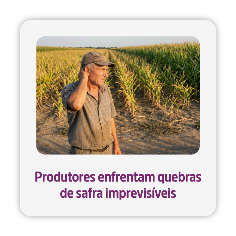 Score de Risco Produtivo para Crédito e Seguro Agrícola | Picsel